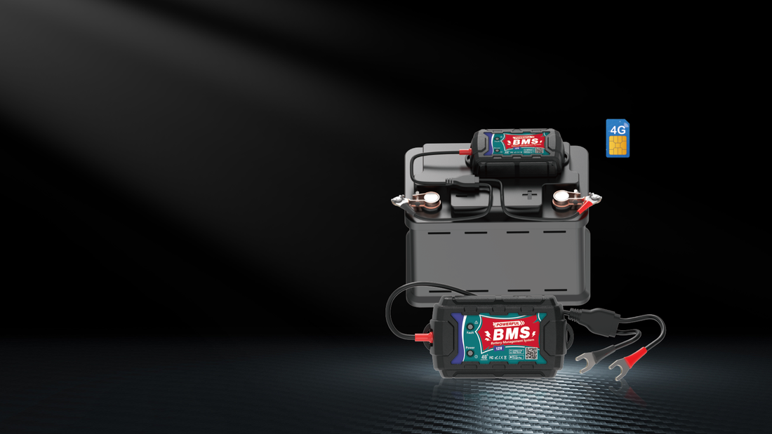 BMS100 | 4G Battery Monitor